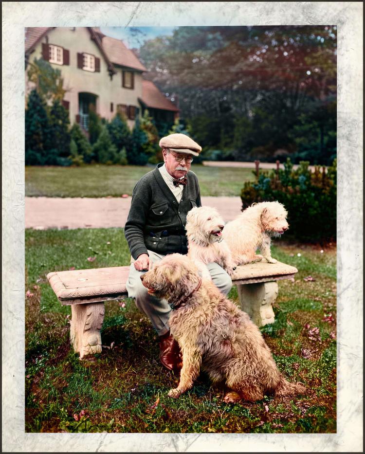 Bring Photos to Life | Animate Old Photos with AI